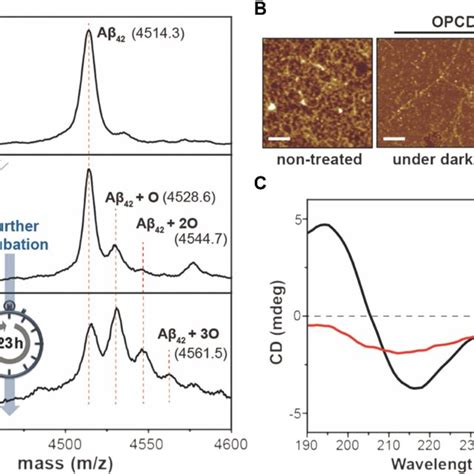 A The Maldi Tof Mass Spectra Of Aβ Cu Ii Aggregates Incubated With Download Scientific