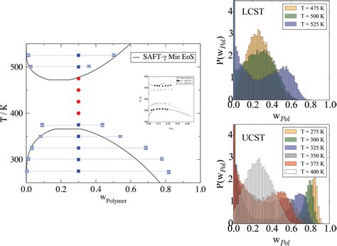 Coarse‐grained Molecular Simulation Of Polymers Supported By The Use Of The Saft‐γgamma Mie