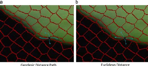 Illustration Of Supervoxel Boundary Download Scientific Diagram