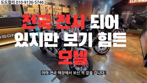 할리데이비슨 스포트 글라이드 가성비 매장에서 보기힘든 할리데이비슨 도도할리 최우혁 Youtube