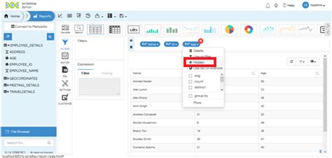 Usage Of Hidden Column In Helical Insight