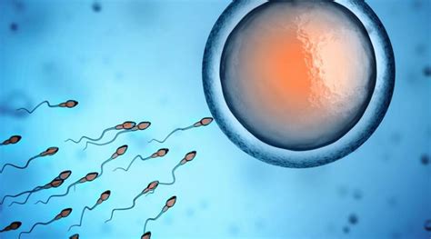 Infertility Treatment Specialists In Santacruz Fertility Clinic In Santacruz
