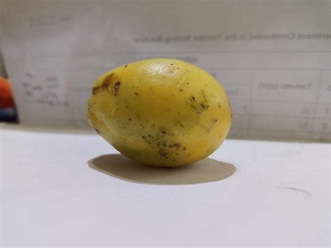 Sample Bad Classification Dataset And Pre Trained Model By Tomato Sorter