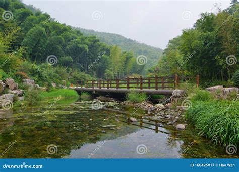 Summer Scenery In Yixing Zhuhai Scenic Spot Jiangsu Province China
