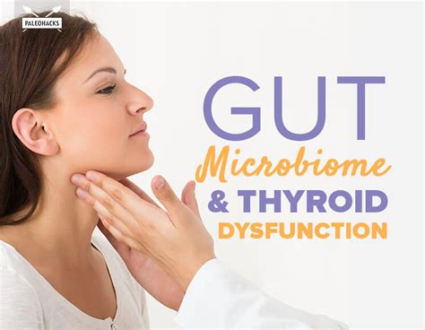 Gut Microbiome And Thyroid Dysfunction Health