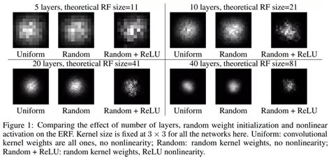Receptive field là gì Tại sao nó lại quan trọng đối với CNN AI Design Thiết kế web theo