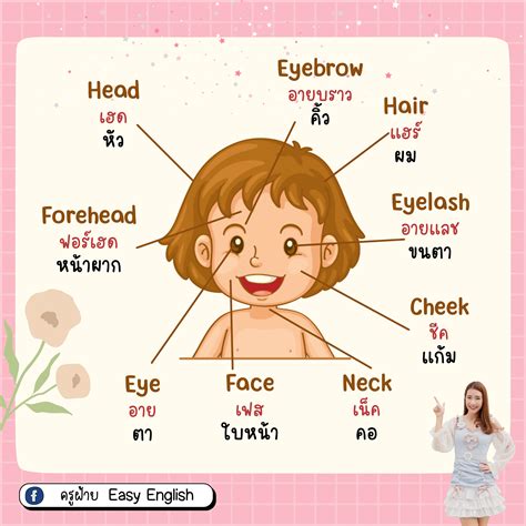 คำศัพท์อวัยวะในร่างกาย ️ ครูฝ้าย Easy English