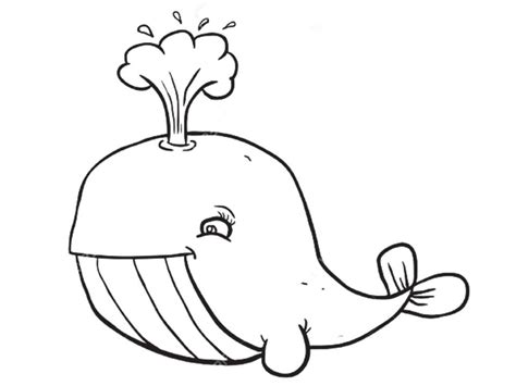 ปลาวาฬ Medium