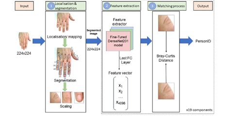 An Overview Schematic Diagram Of The Developed Framework For Person Download Scientific Diagram