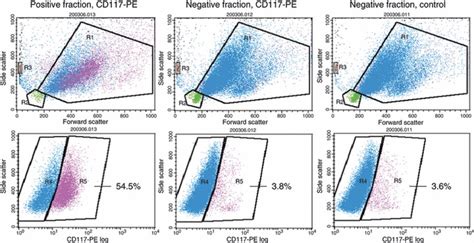 Flow Cytometry Evaluation Of Immunomagnetic Sorting Of Germ Cells