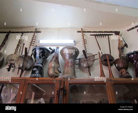 Wind String And Percussion Instruments At Ella Dierking Blog