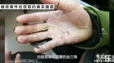 触目惊心缅北诈骗集团内部视频流出 哔哩哔哩