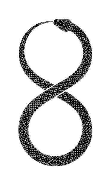 590개 이상의 Ouroboros Symbol 스톡 일러스트 Royalty Free 벡터 그래픽 및 클립 아트 Istock