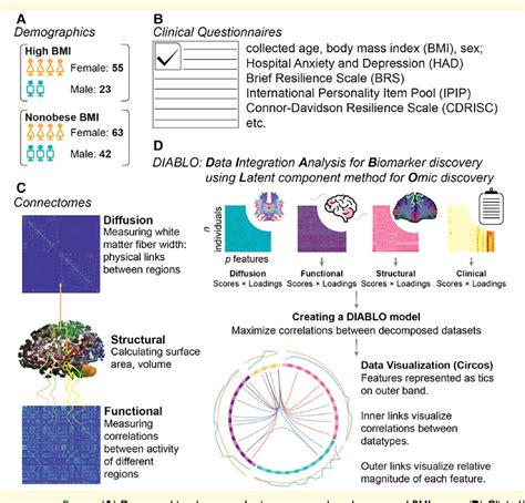 Figure 1 From Integrated Multi Modal Brain Signatures Predict Sex
