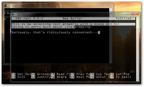 How To Improve Your Cygwin Console With Mintty