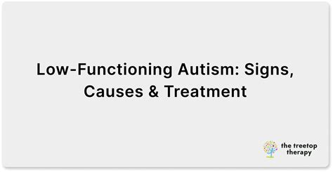Low Functioning Autism Signs Causes And Treatment