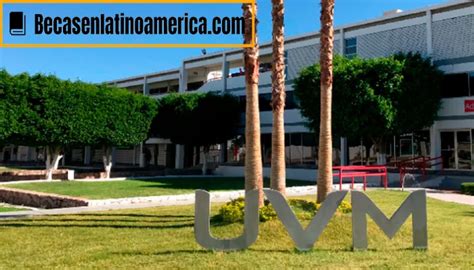 Maestrías Uvm 2025 【méxico】¡infórmate Ahora