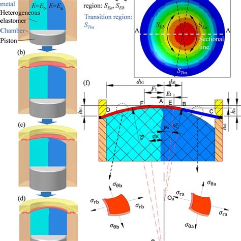 A Schematic Flowchart Of Prisma Guidelines 78 Used To Prepare The Download Scientific Diagram
