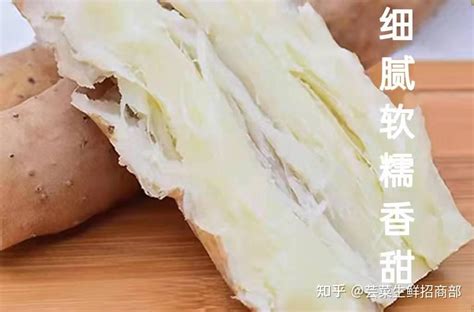 小白嘴山药都有哪些功效跟普通山药有什么区别 知乎