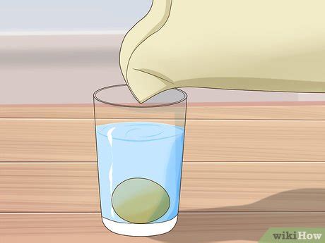 How To Understand Osmosis With Eggs With Pictures WikiHow Life