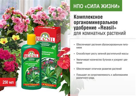Комплексное органоминеральное удобрение REASIL для комнатных растений ...