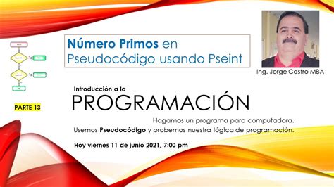 13 Números Primos En Pseudocódigo Youtube