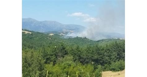 Пожарът над Илинденци засегна 15 дка от Национален парк Пирин