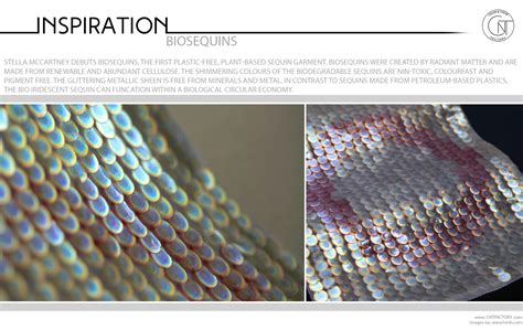 Biosequins Automotive Color Trim Trends Biodesign Sustainability