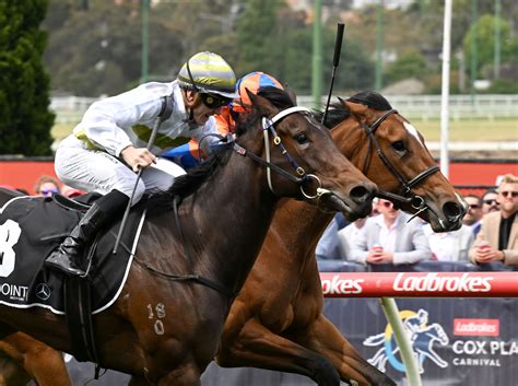 Live Coding Project Create An Hour Tracking App Using Vuejs Part 2 With Gwen Faraday