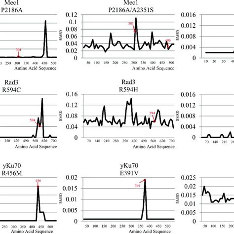 Rmsd Calculations For All Residues Of Mec1 Rad3 Yku70 And Rad18 Download Scientific Diagram