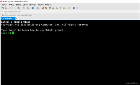 初始linux发展 csdn博客