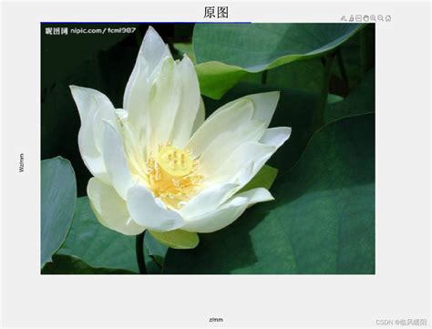 Matlab对图像进行加密处理 Csdn博客