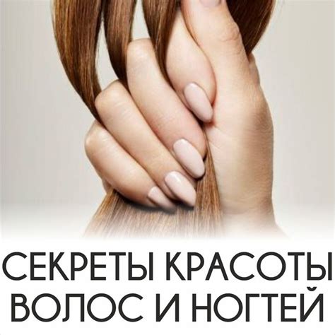 Секреты красоты и здоровья волос и ногтей Секреты красоты Волосы и ногти Здоровые волосы