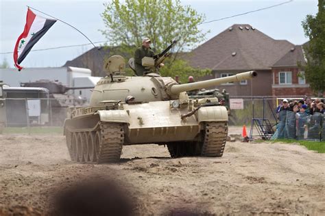 Facts About Doves Eyes Facts Net