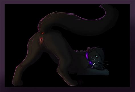 Rule 34 2016 Anatomically Correct Anus Black Fur Collar Feline Female