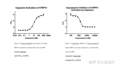 Trpv1受体 癌性疼痛 疼痛模型构建 疼痛模型实验设计 知乎