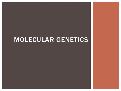 Ppt Molecular Genetics Powerpoint Presentation Free Download Id