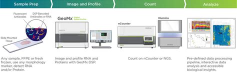 Platforms Applied Spatial Omics Centre Cumming School Of Medicine University Of Calgary