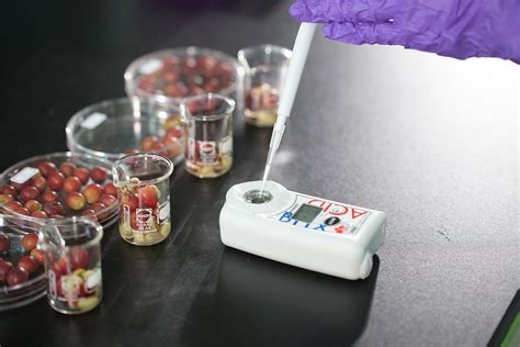 Solution Labs CH Biotech