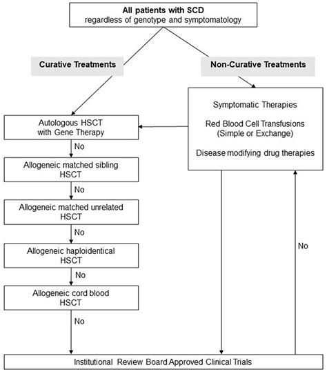 Suggested Management Algorithm For Patients With Sickle Cell Disease Download Scientific