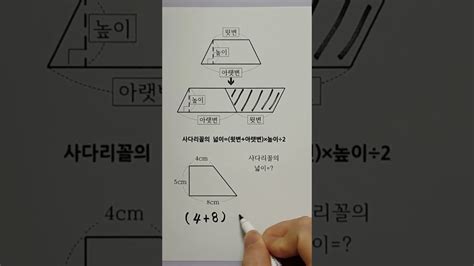 [초등5]사다리꼴의 넓이 구하기 youtube