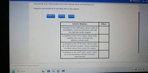 Solved Submit Test Tool Drag Each Tile To The Correct Location On The Chart Each Tile Can Be