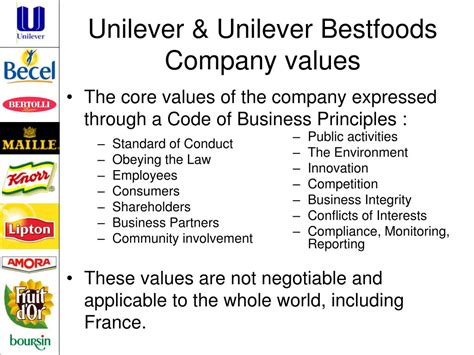 Ppt Unilever Bestfoods In France Powerpoint Presentation Free