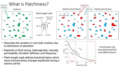 Does Your Ccs Monitoring Plan Consider Patchiness