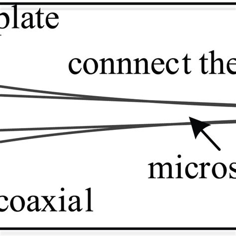Schematic Diagram Of The Structure Of The Exponential Transition