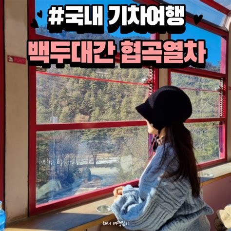 국내 당일치기 기차여행 추천 분천역 백두대간협곡열차 시간표 예매 네이버 블로그