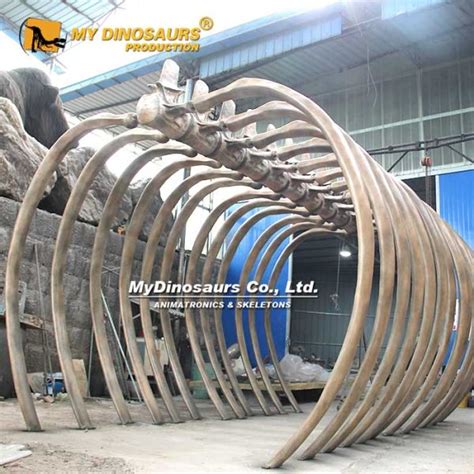 Dinosaur Rib Cage Skeleton Tunnel Sculpture For Park MyDinosaurs