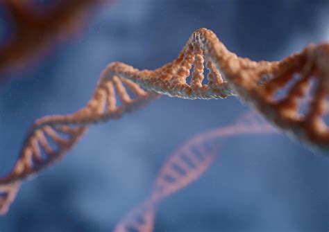 Genetic Algorithms Compared To Traditional Algorithms Farhadur Rahim