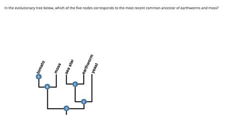 Solved A Node A B Node B C Node C D Node D E Node E