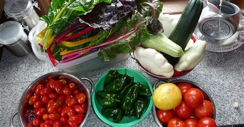 Суперпродукты из вашего сада Сад и Огород